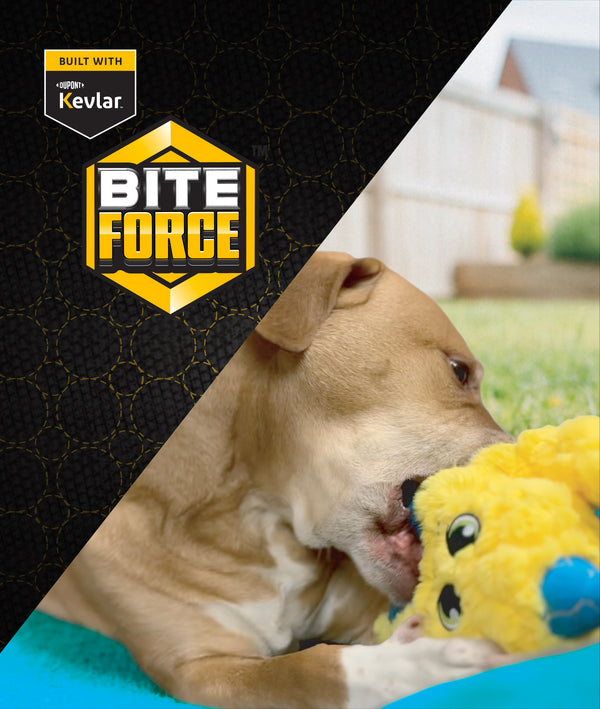 Bite Force